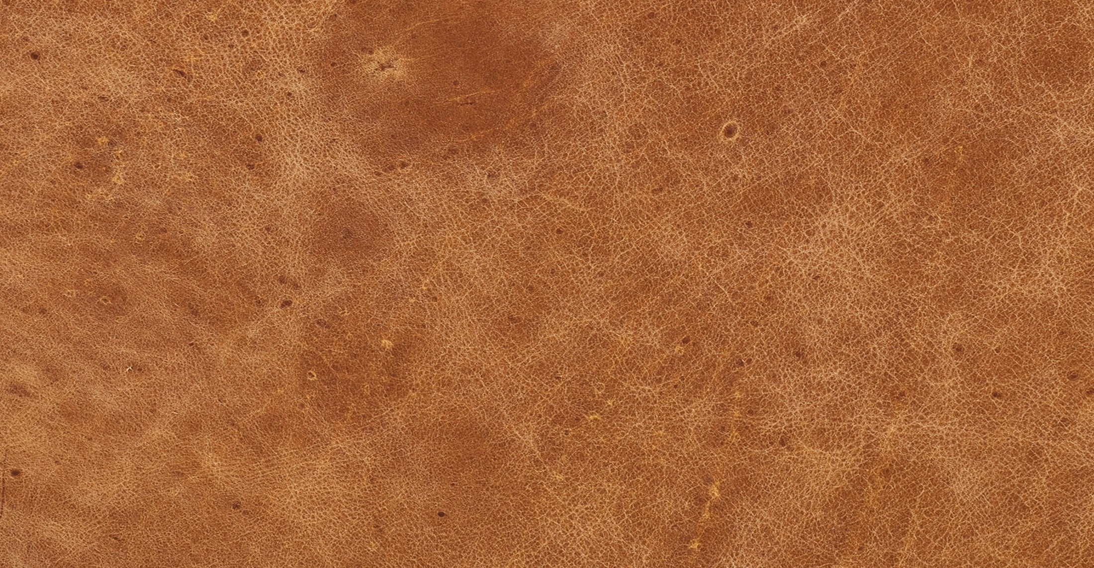 Once the carrier confirms the route, they will contact you at least 24 ...