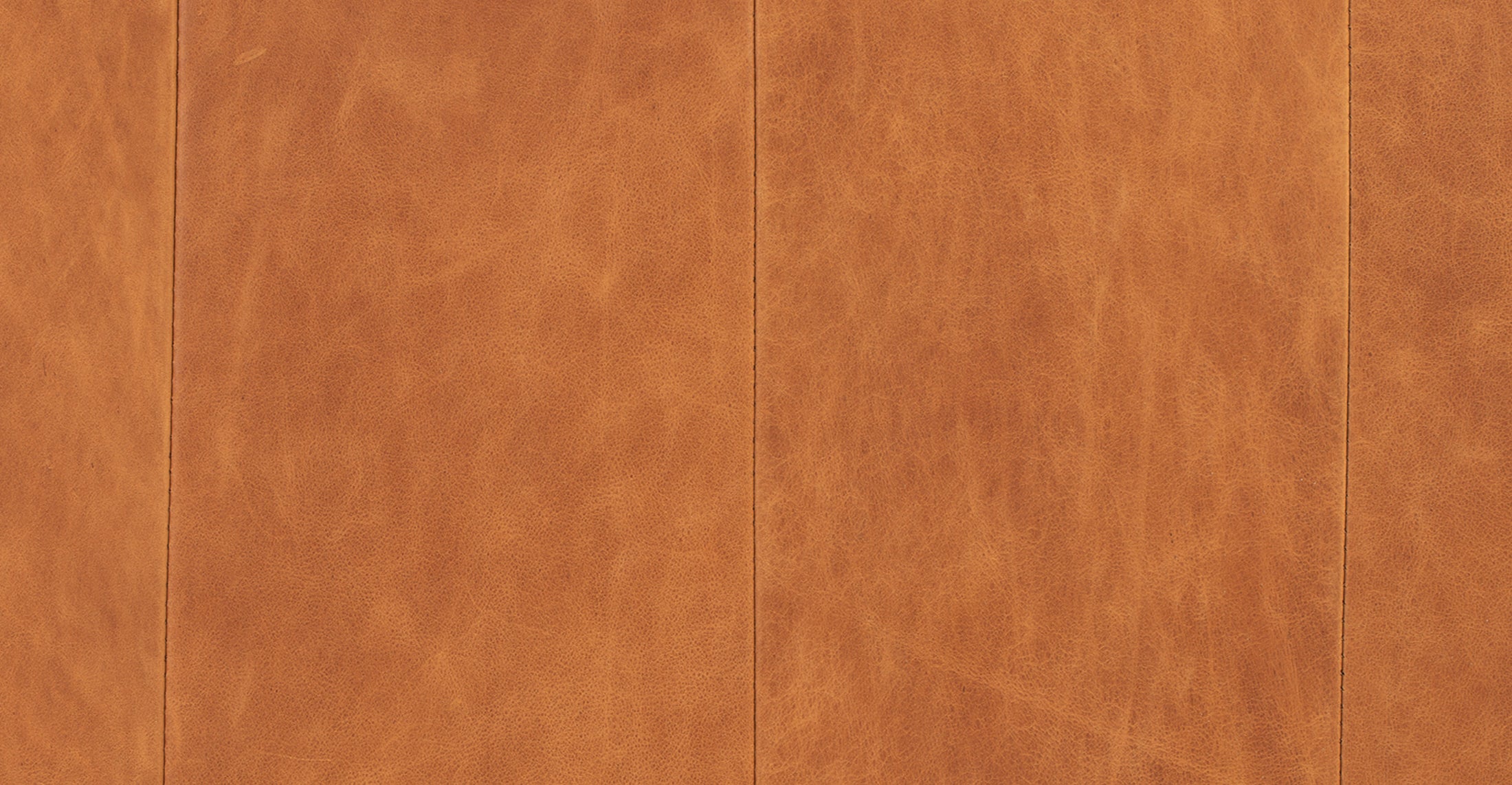 Walnut Finish Jasper Daybed in Cognac Tan - Poly & Bark